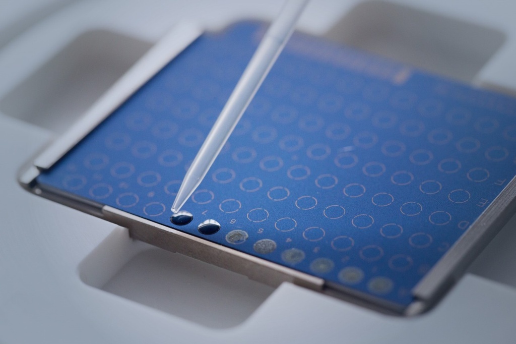 MALDI Biotyper® MBT Biotarget 96 IVD | LabMart Limited